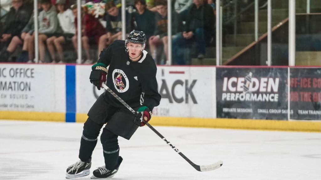 Charting the rise of Maksymilian Szuber in Coyotes' system