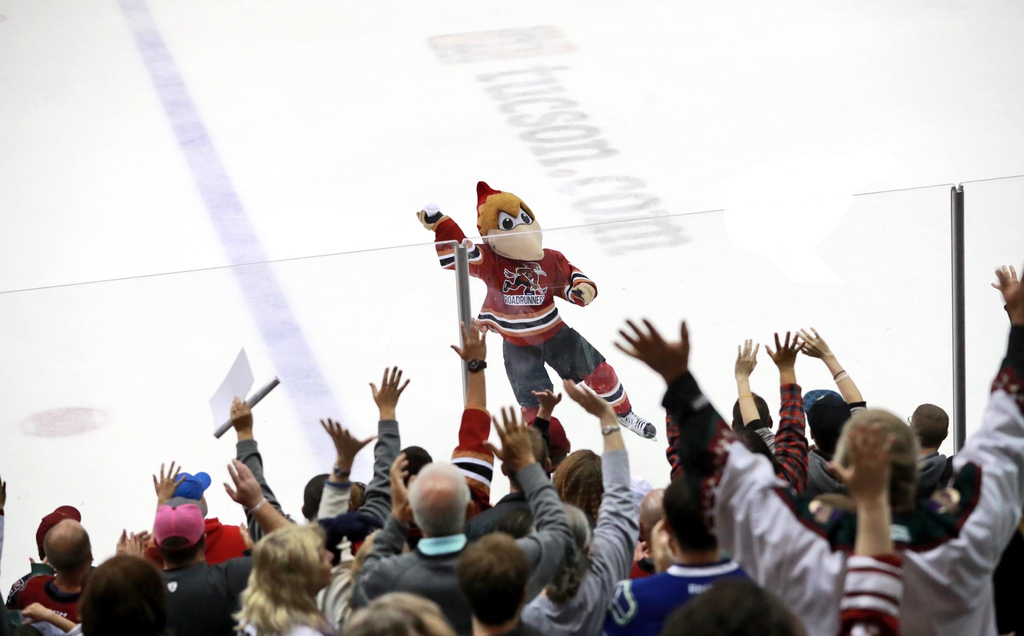 What is the Roadrunners future in Arizona?