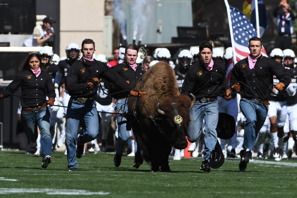 Colorado adds Regis Jesuit tight end Andrew Metzger - DNVR Sports
