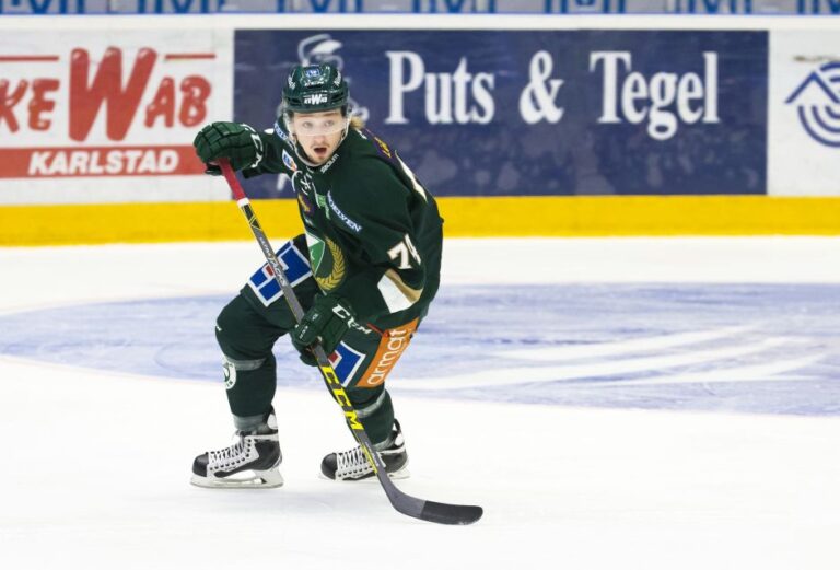 NHL Draft Prospect Profile: Rasmus Asplund - DNVR Sports