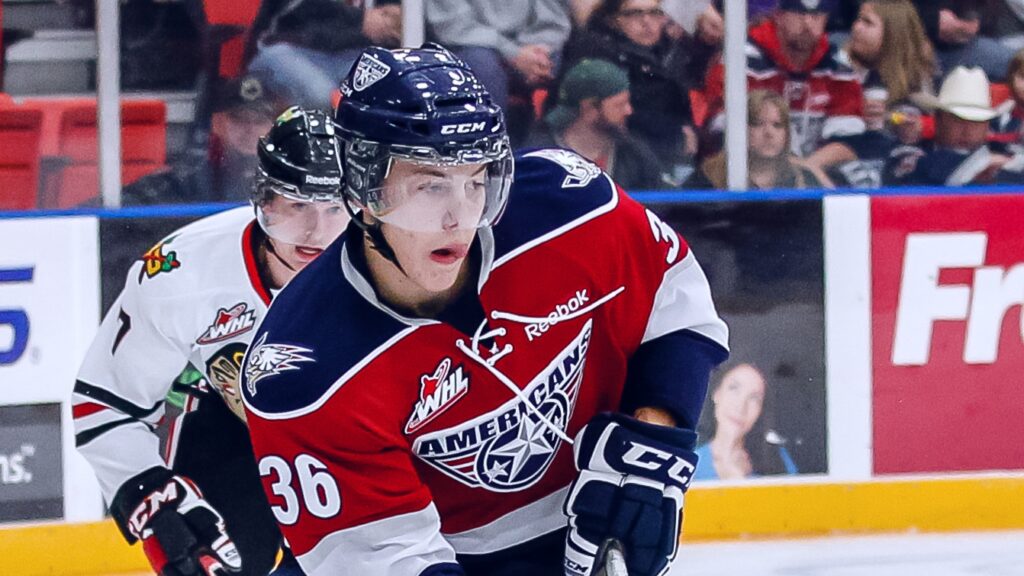 NHL Draft Prospect Profile: Brandon Carlo - DNVR Sports